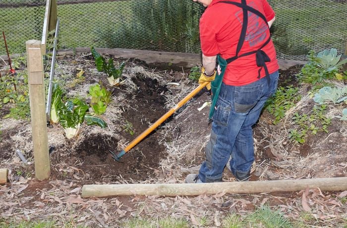 How To Create a Firebreak - Bunnings Australia