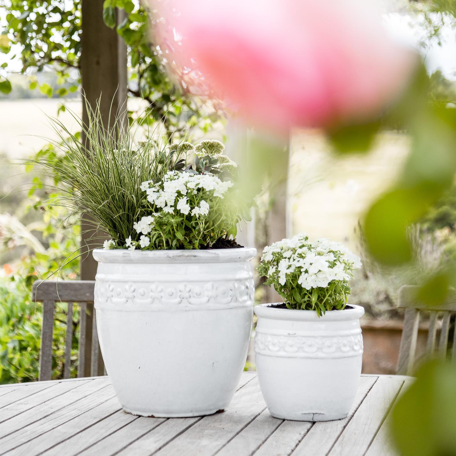Tuscan Path 43 x 41cm White Studded Glazed Pot - Bunnings New Zealand
