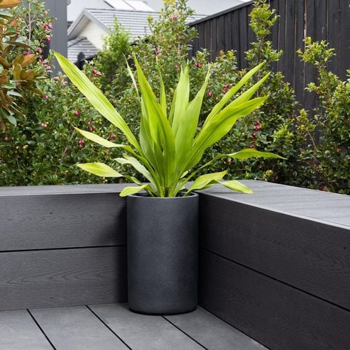 Tuscan Path 42cm Grey Harper Cylinder Pot - Bunnings New Zealand