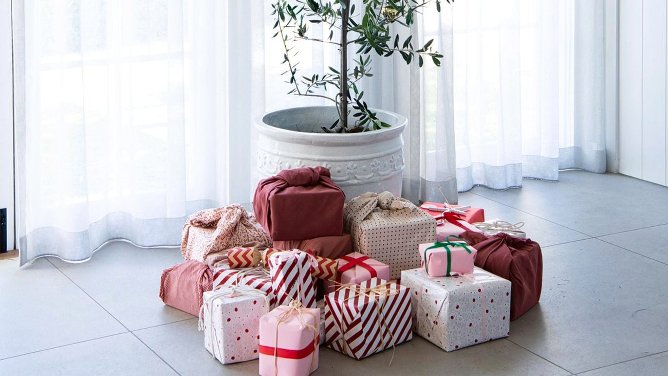 Four Fabulous Festive Trees - Bunnings New Zealand