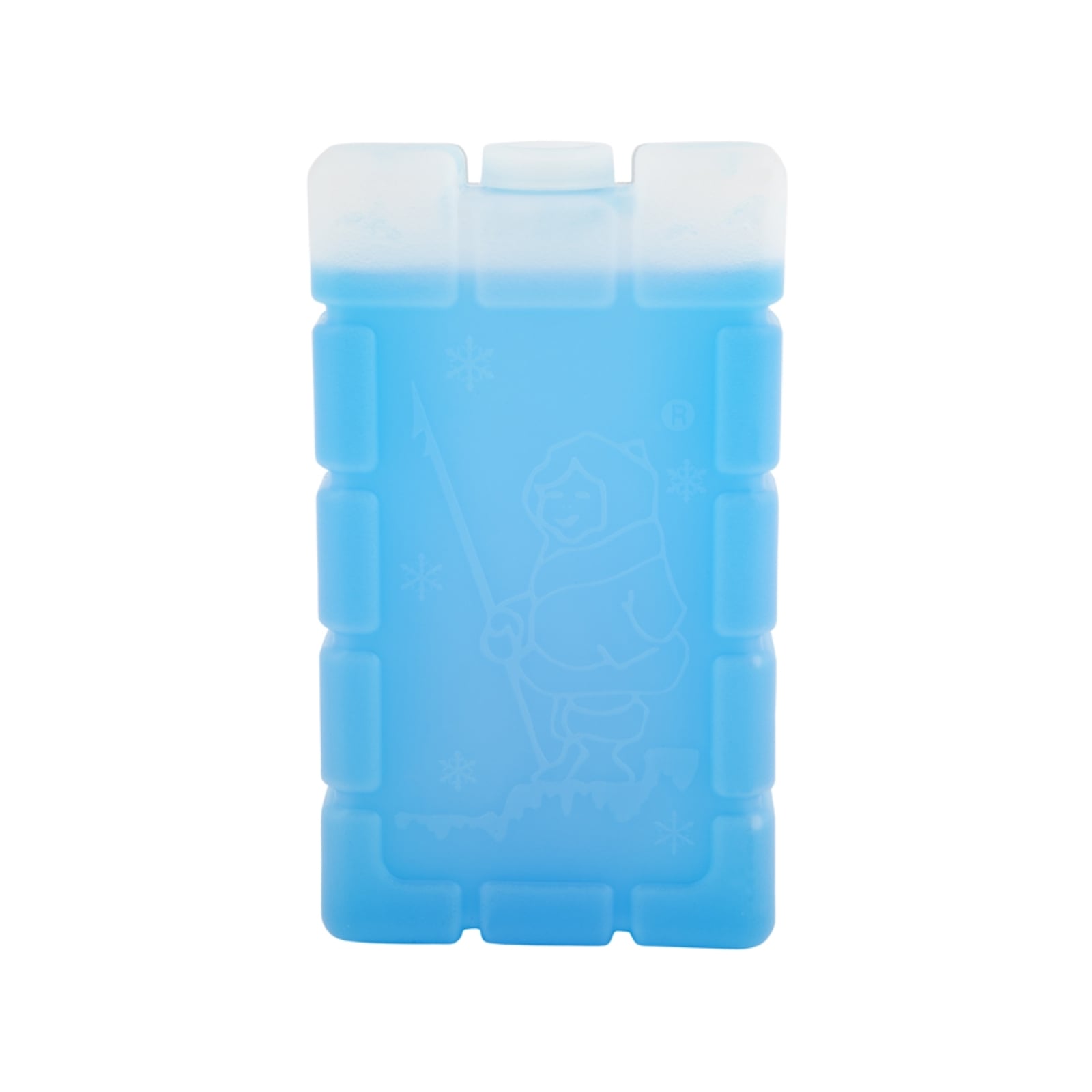 Esky Medium Ice Brick - Bunnings Australia
