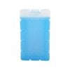 Esky Medium Ice Brick - Bunnings Australia