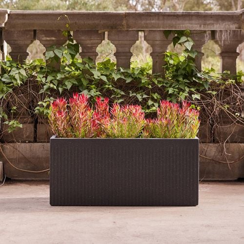 Northcote Pottery 95cm Black Linea Trough - Bunnings Australia