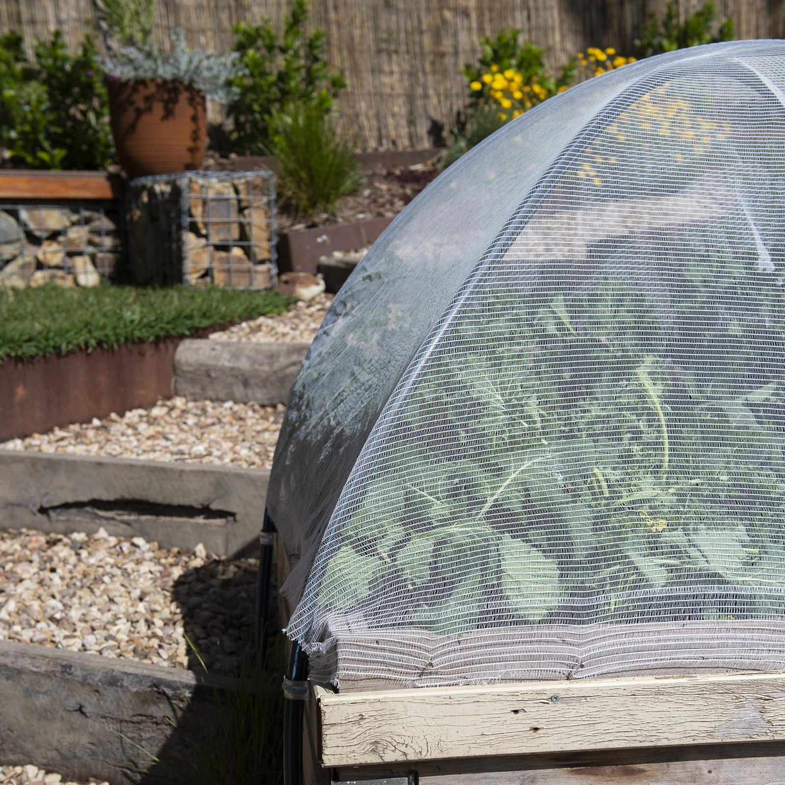 Cyclone 5m x 2m Backyard Farmer Anti Bird Net - Bunnings New Zealand
