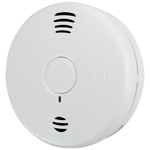Quell Worry-Free Bedroom Talking Voice Photoelectric Alarm - Bunnings ...