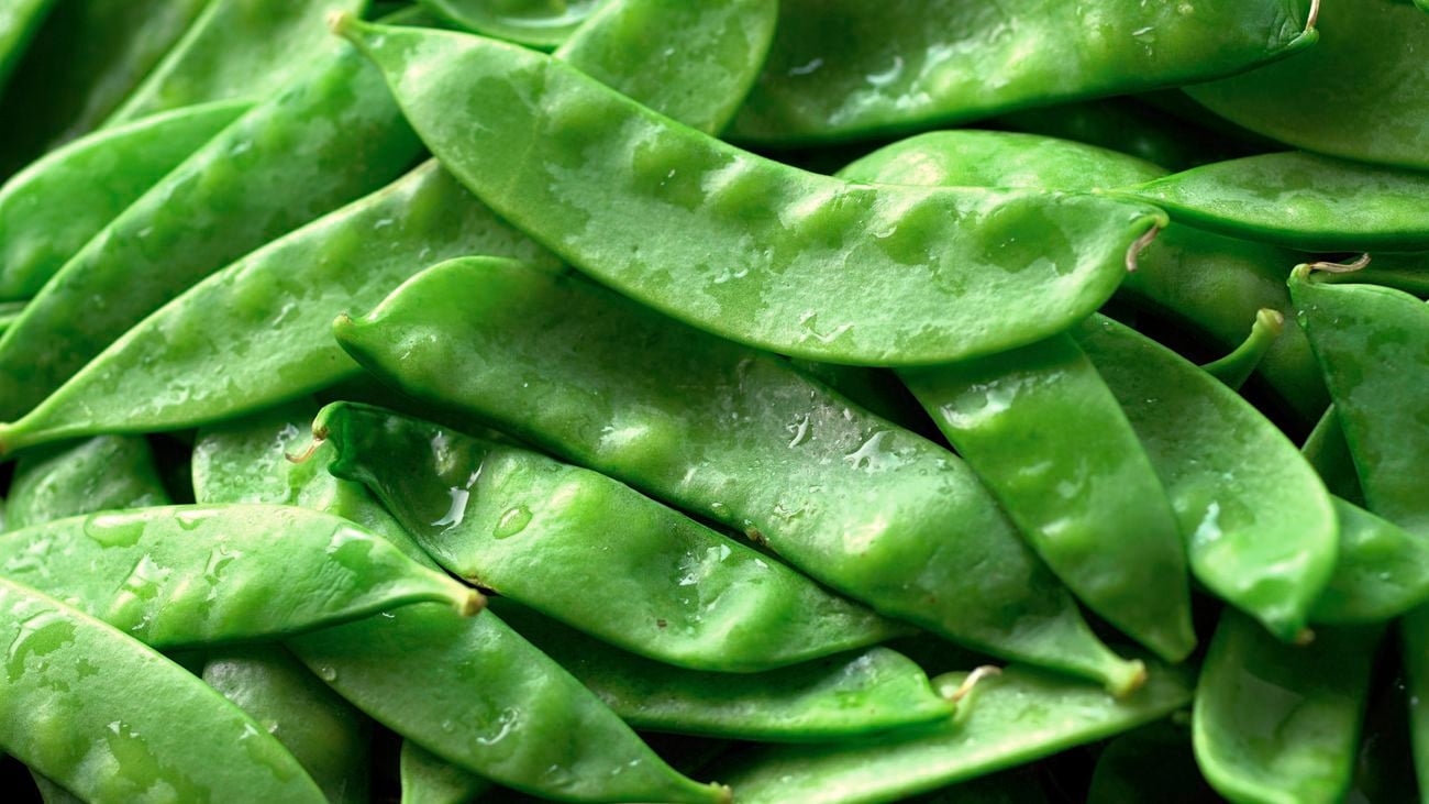How To Grow, Care For And Harvest Snow Peas - Bunnings Australia