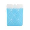 Esky Small Slim Ice Brick - Bunnings Australia