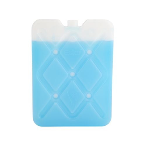 Esky Small Slim Ice Brick - Bunnings Australia