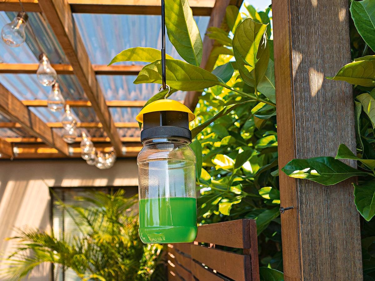 Effective Ways To Keep Flies Away - Bunnings Australia