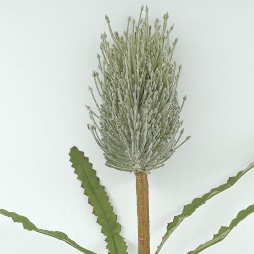 70cm Native Banksia Green Artificial Flower - Bunnings Australia