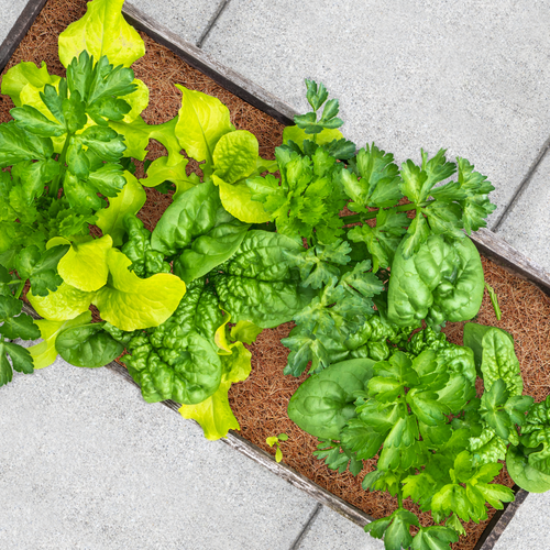 Pillar 0.9 x 5m Natural Coco Weed Control Mat - Bunnings Australia