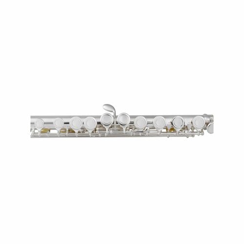 Axiom Complete Beginner Flute Outfit - Bunnings Australia