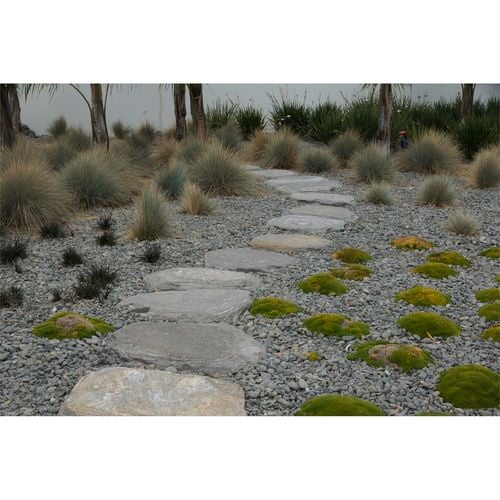 WestStone 500 - 600mm Waterworn Round Stepping Stone - Bunnings New Zealand