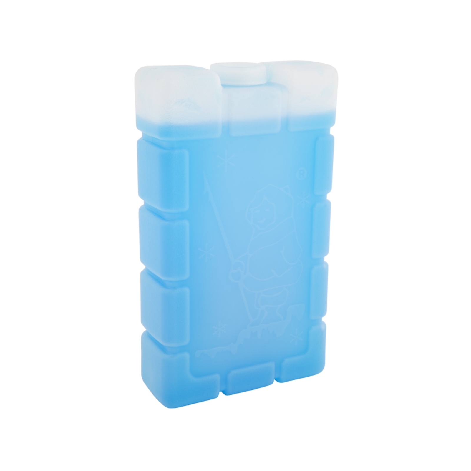 Esky Medium Ice Brick - Bunnings Australia