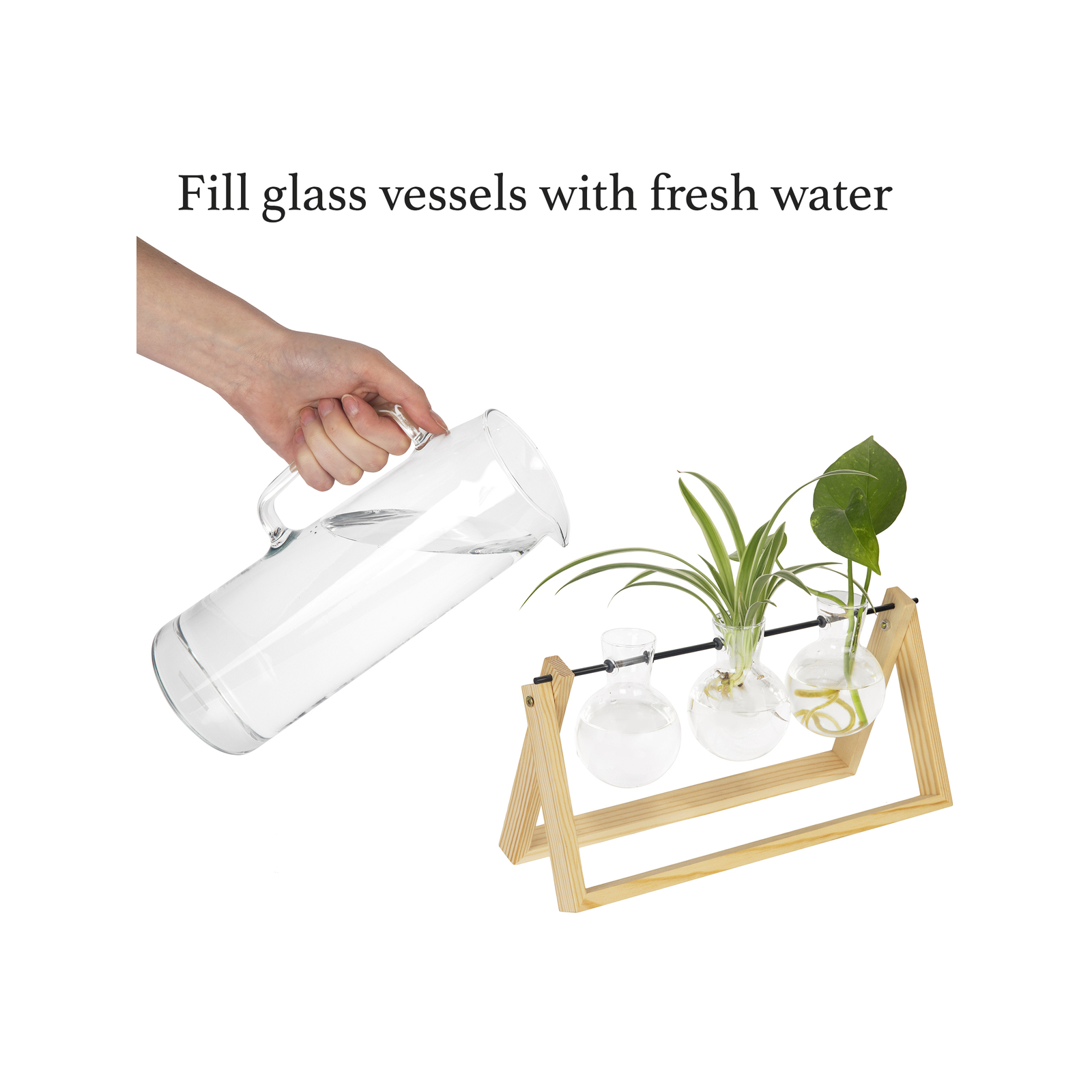 Triple Plant Propagation Station - Bunnings Australia