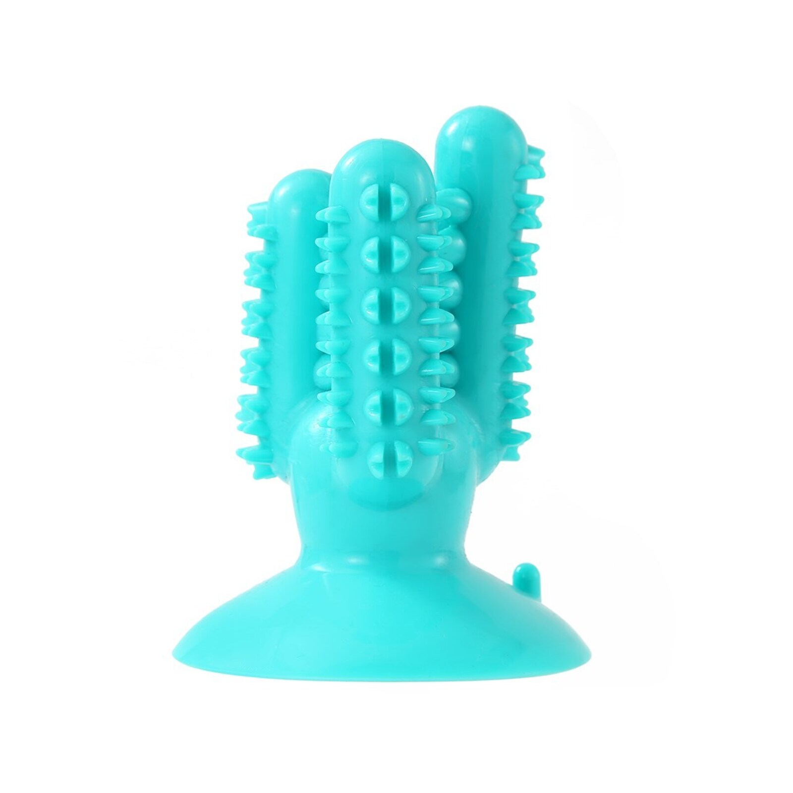 Paws & Claws 13cm Cactus Suction Dental Treat Toy - Teal - Bunnings ...
