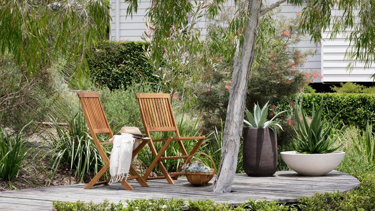 How To Design A Thriving Native Garden - Bunnings Australia