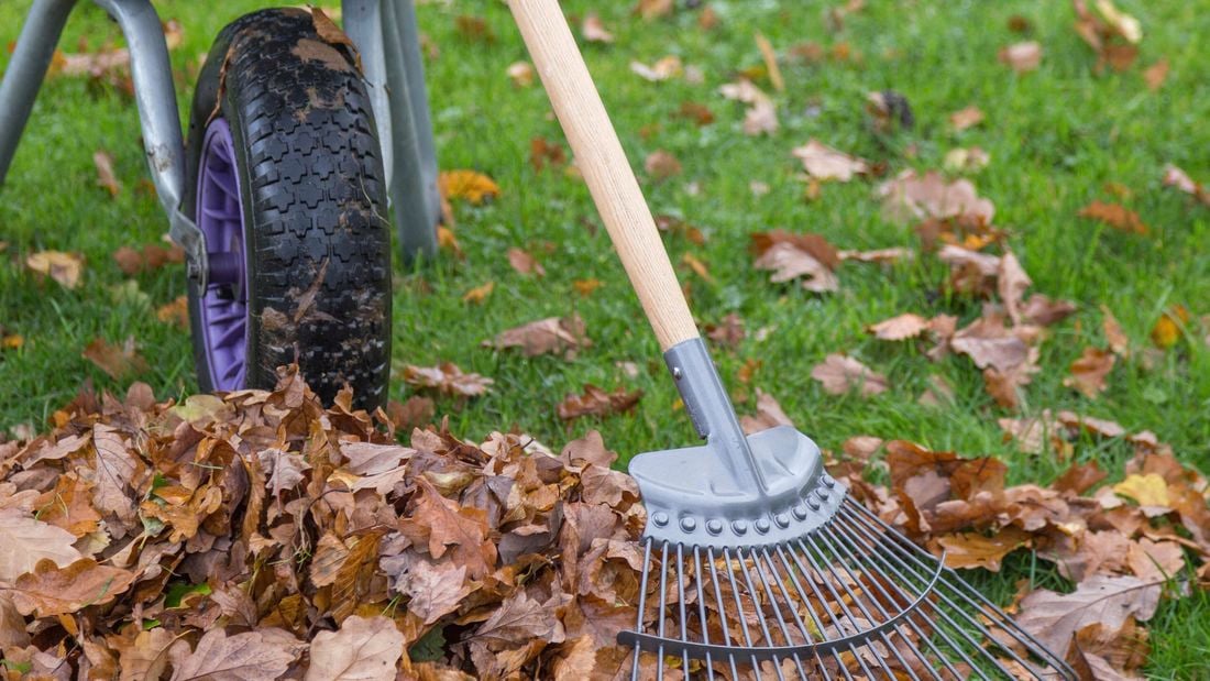 Top Budget Friendly Garden Tools - Bunnings New Zealand