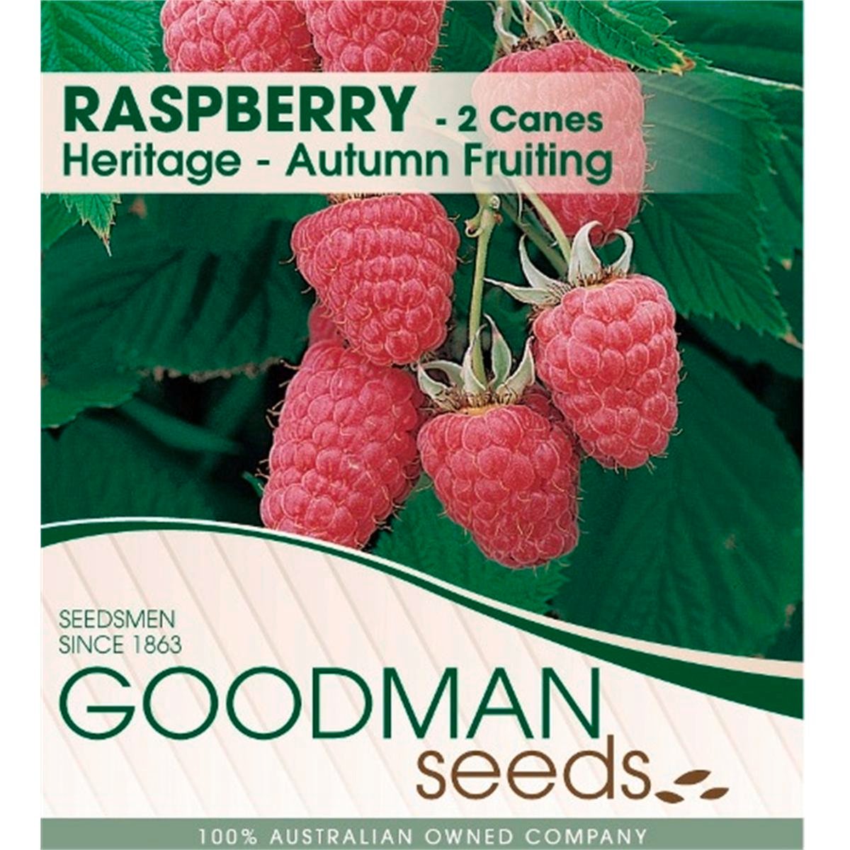 2 Canes Rasberry - Rubus Neglectus - Bunnings Australia