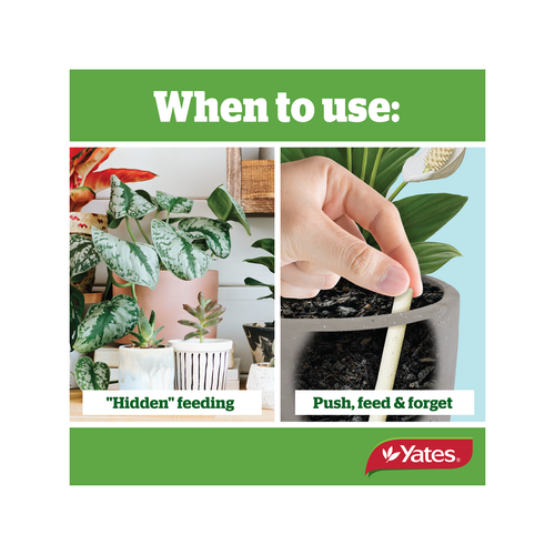 Yates Thrive Ferns And Plant Spikes - 30 Pack - Bunnings New Zealand