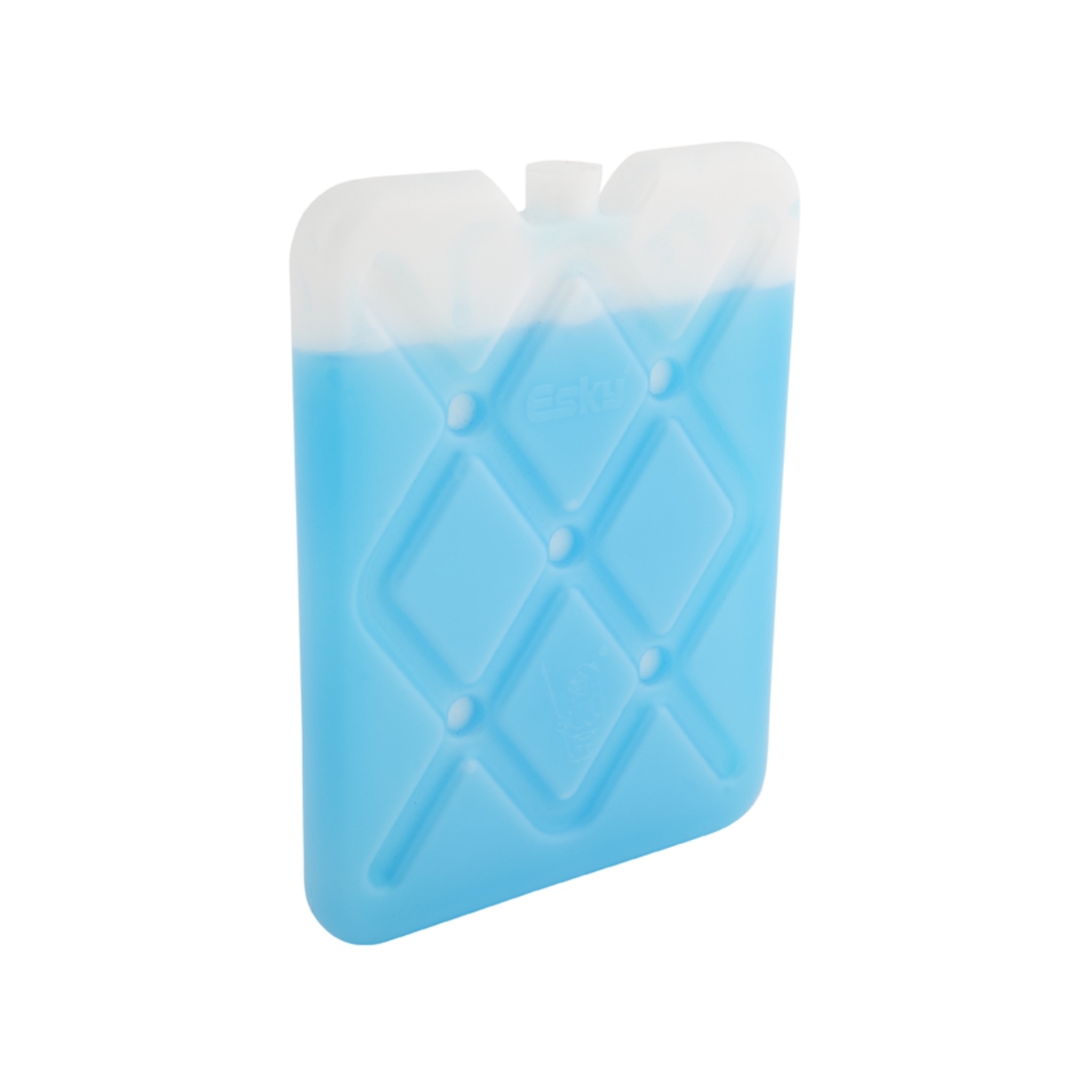 Esky Small Slim Ice Brick - Bunnings Australia