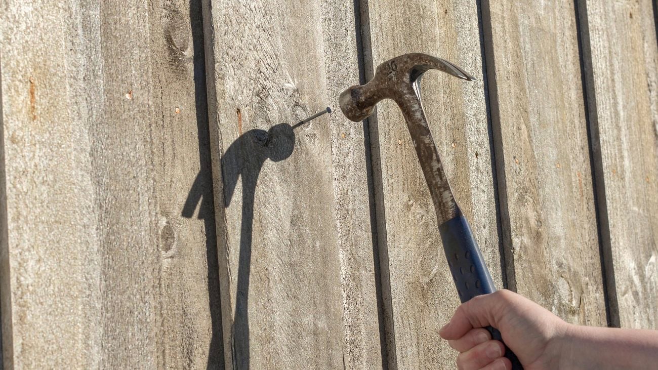 Freshen Your Fence - Bunnings Australia