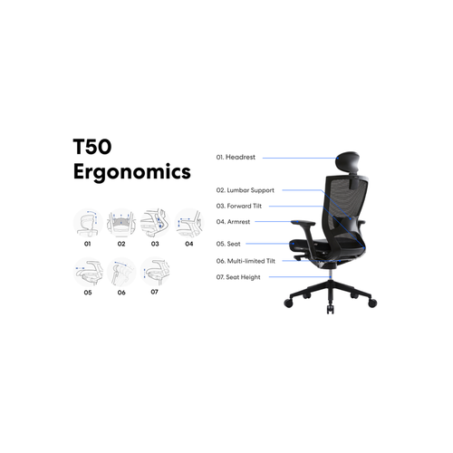 FURSYS CHA4300W SIDIZ T50(HLDA) Black Frame Office Desk Chair ...