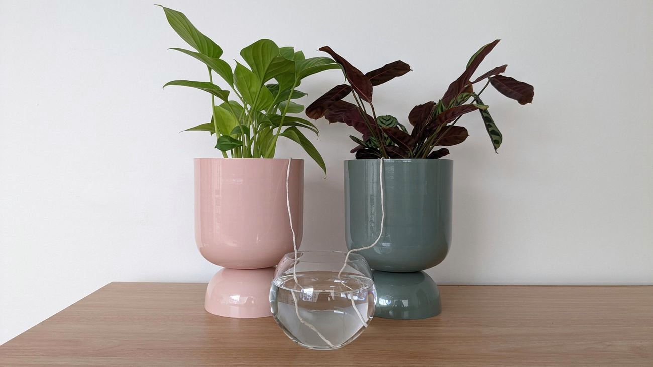 How To Keep Your Plants Alive While You’re Away - Bunnings Australia