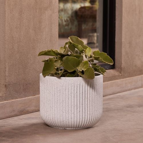 Northcote Pottery 37cm White Linea Cylinder Pot - Bunnings Australia
