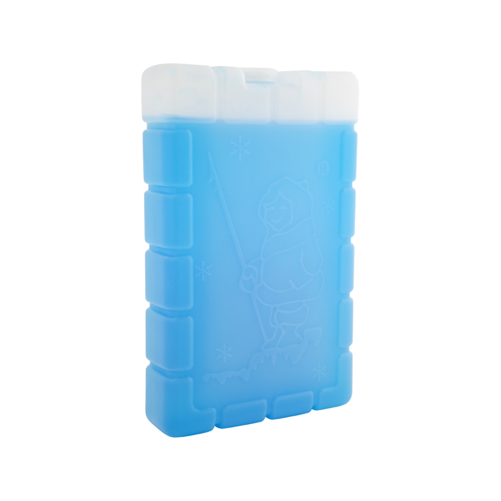 Esky Large Ice Brick - Bunnings Australia