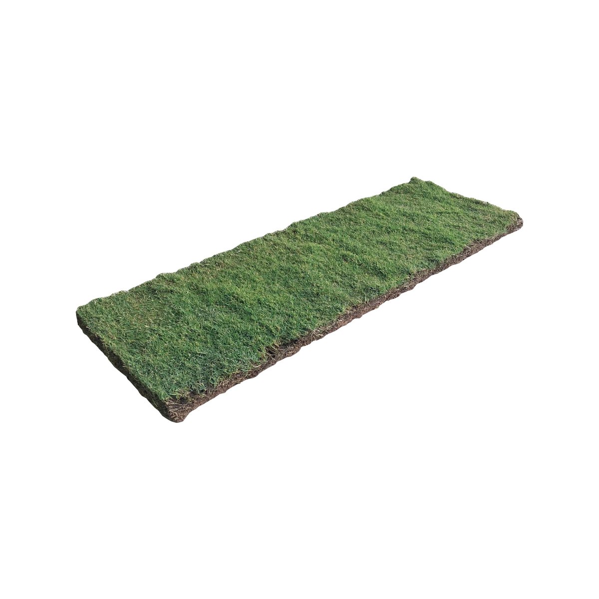 Coolabah Turf 0.5m² Turf Slab Nullarbor Couch Turf - Bunnings Australia