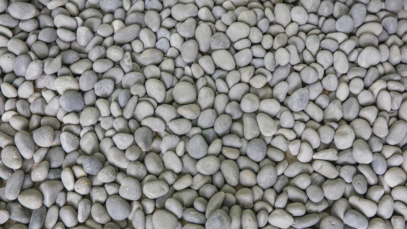 Everything Need To Know About Mulch - Bunnings Australia