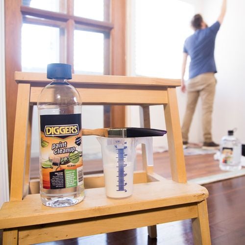 DIGGERS 1L Paint Cleanup - Bunnings Australia