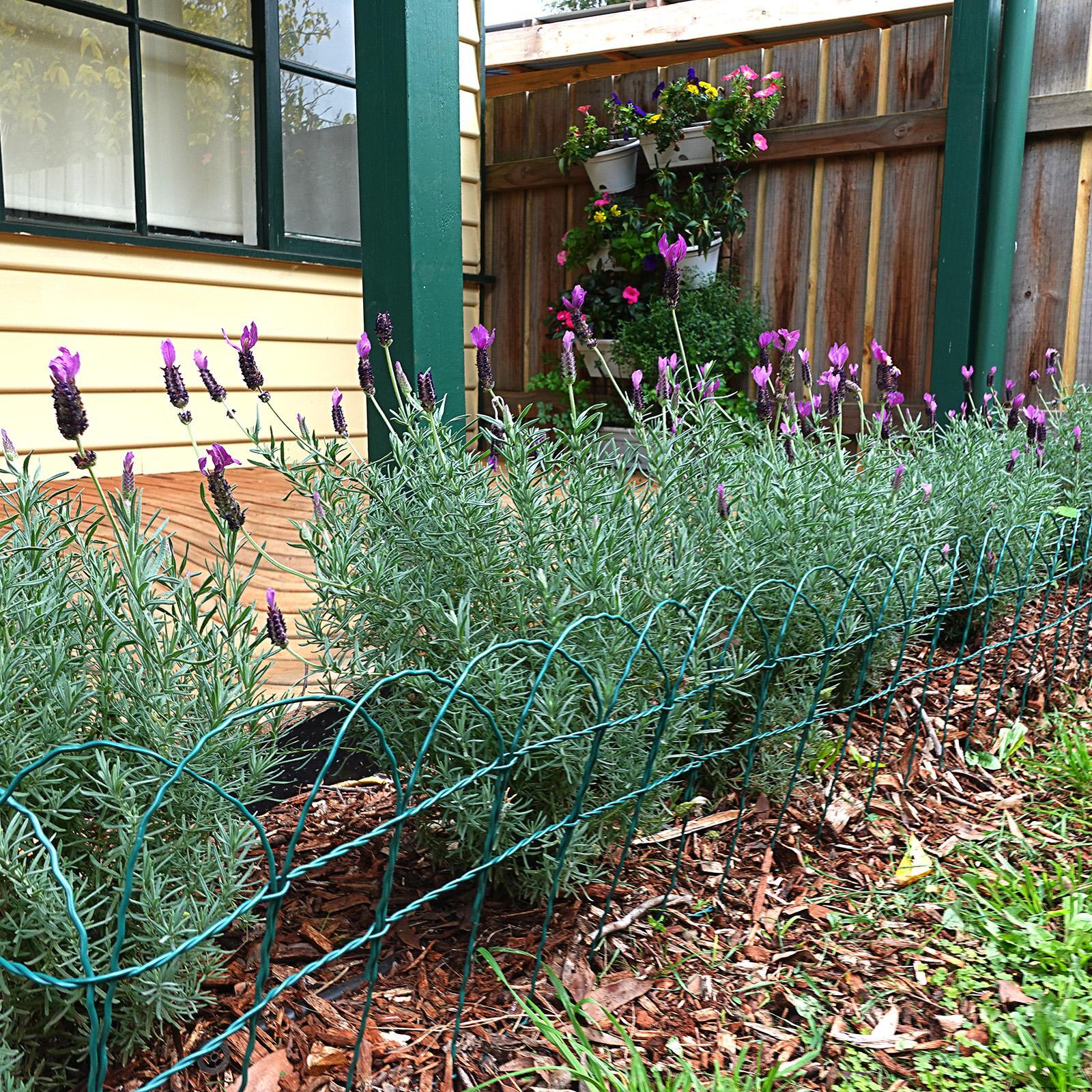 Jack 400mm x 10m Green Federation Edging - Bunnings Australia