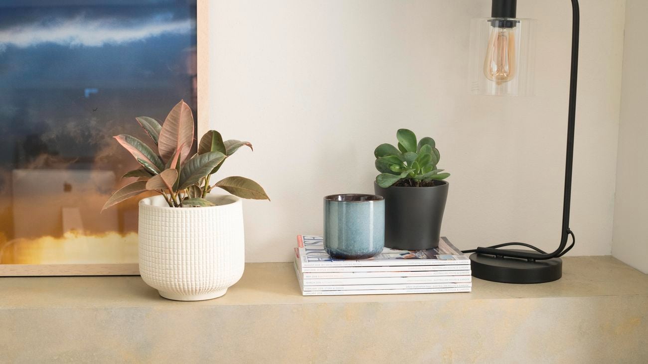How To Create Your Own Indoor Garden - Bunnings Australia