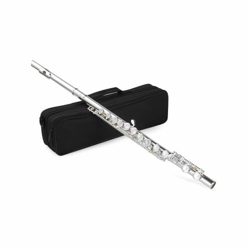 Axiom Complete Beginner Flute Outfit - Bunnings Australia