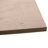 Ecoply® Barrier 2440 x 1200 x 7mm H3.2 Plywood Panel - Bunnings New Zealand