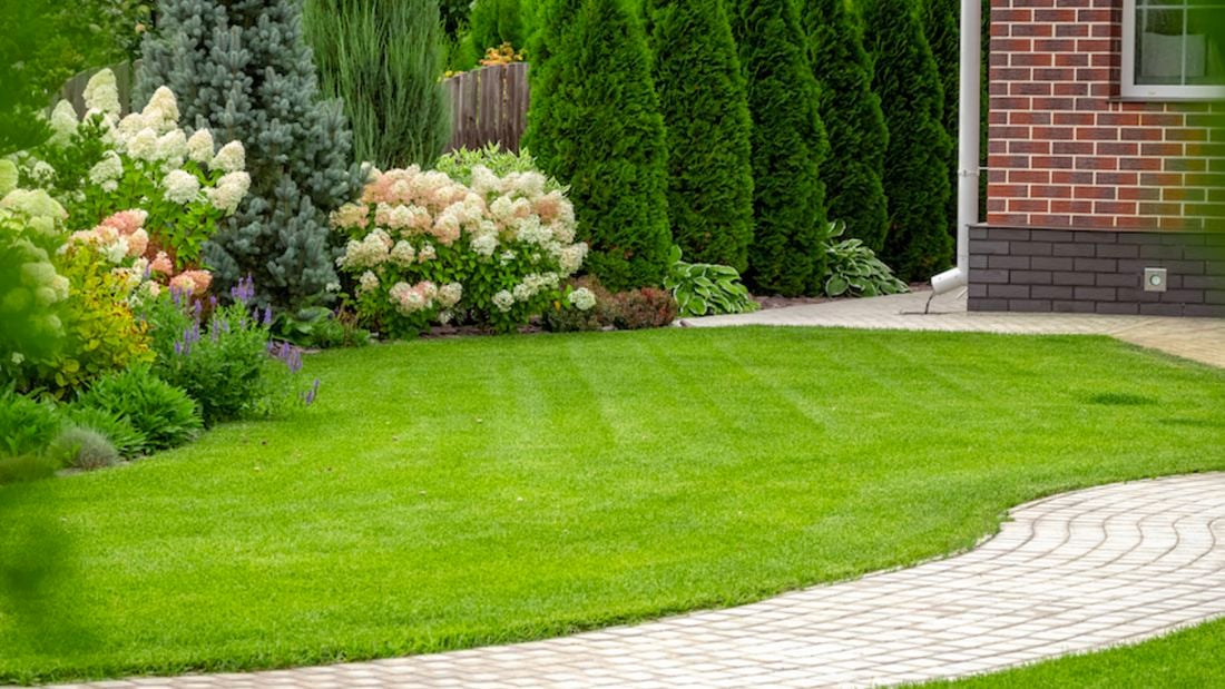 Create A Healthy, Weed-Free Lawn With Yates Weed ‘N’ Feed - Bunnings ...