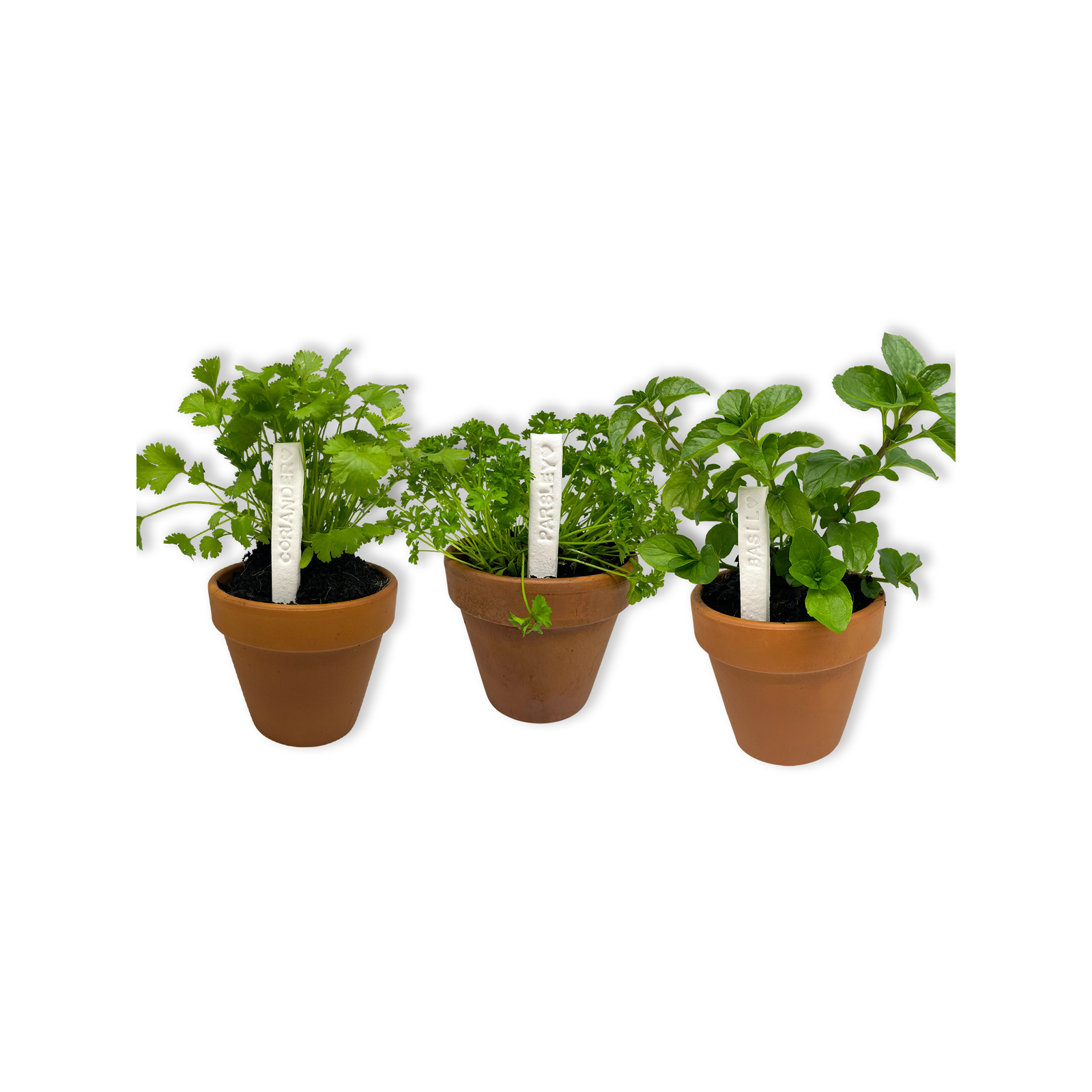 Practa Oven Bake Clay Plant Labels Kit - Bunnings Australia