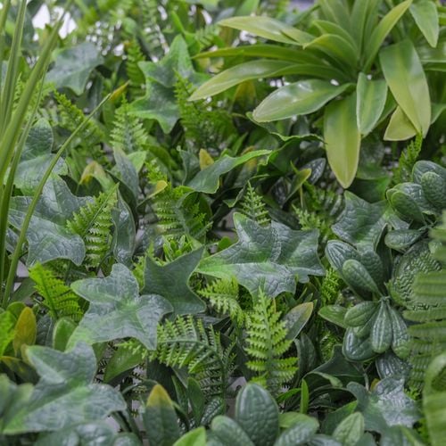UN-REAL 50 x 50cm Artificial Hedge - Boston Fern - Bunnings Australia