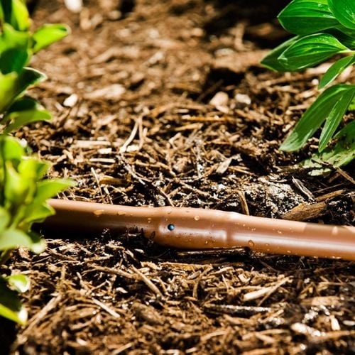 Toro 13mm x 50m Drip Eze Drip Tube - Bunnings Australia