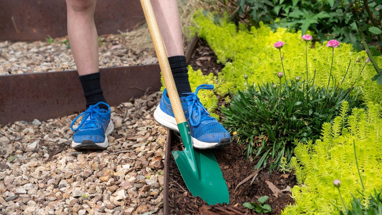 Cyclone's Best Garden Gifting Picks For Garden Lovers - Bunnings Australia