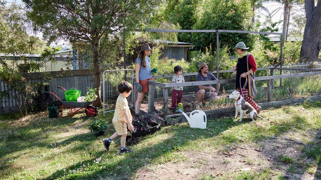 Turn Your Nature Strip Into A Verge Garden - Bunnings Australia