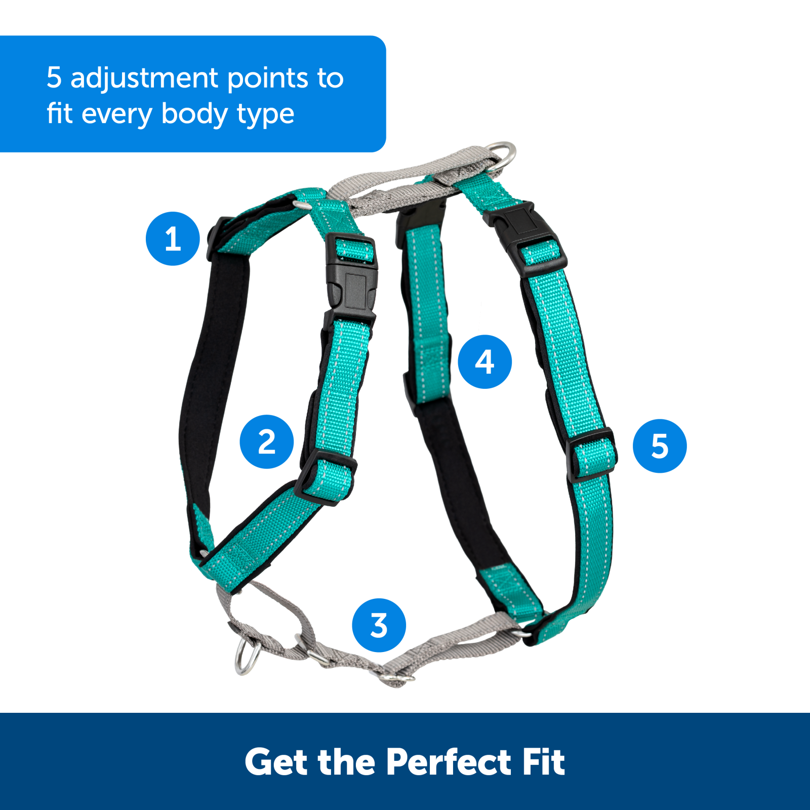 PetSafe Black 3-In-1 Harness And Car Restraint - Small - Bunnings Australia