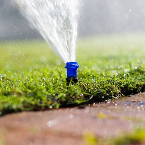 K-Rain 80mm PRO-S Flush Cap Popup Sprinkler - Bunnings Australia