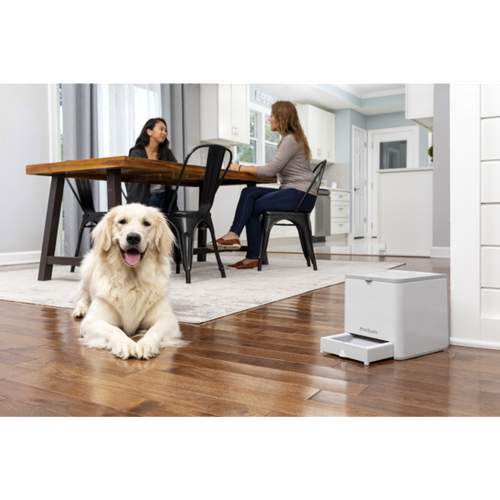 PetSafe® Teach & Treat Remote Reward Trainer for Training Dogs ...