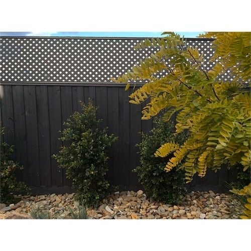 Matrix 2400 x 600mm Slate Grey Diamond Fence Extension Lattice ...