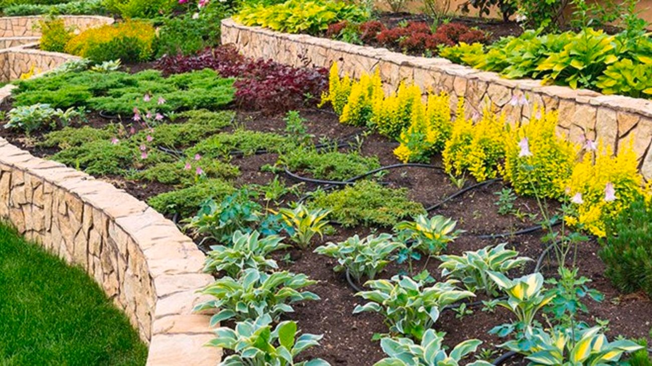 How To Create a Low-Allergy Garden - Bunnings Australia