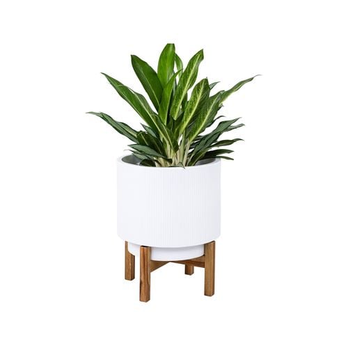 34 x 43cm White Ceramic Indoor Pot with Stand - Bunnings New Zealand