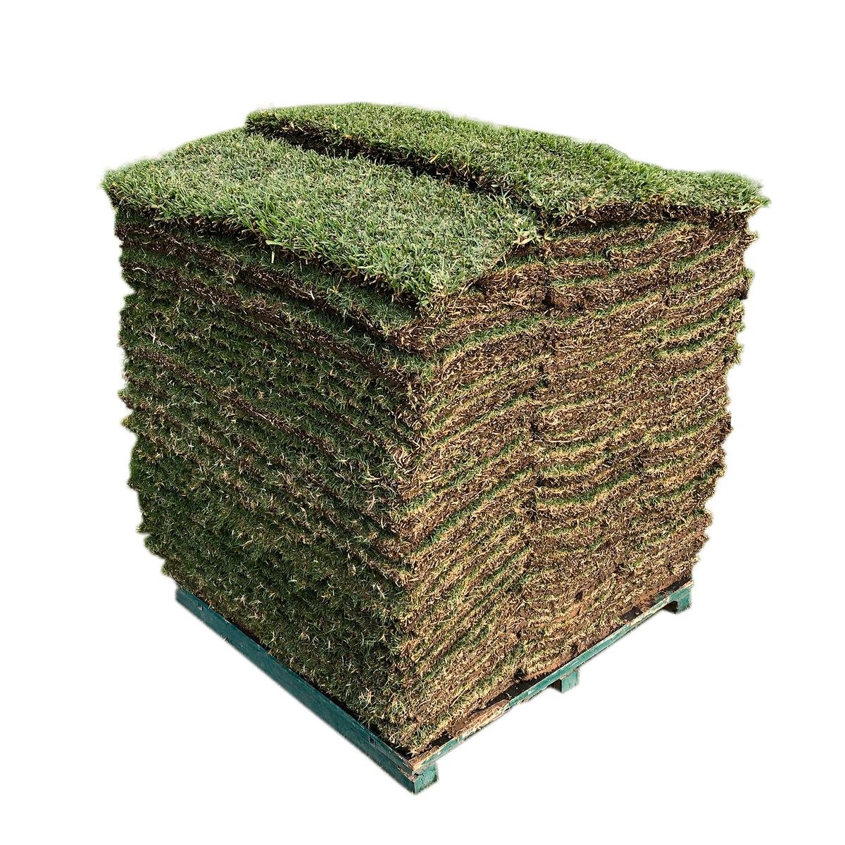 Sir Walter DNA Certified Buffalo 50m² Soft Leaf Buffalo Turf - Pallet ...